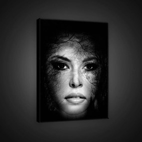 Postershop Obraz na plátně: Tajemná žena (1) - 60x80 cm