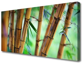Obraz na plátně Bambus Příroda Rostlina 125x50 cm