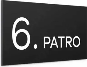 ACCEPT Označení podlaží "6. PATRO" - stříbrná tabulka - černý popis