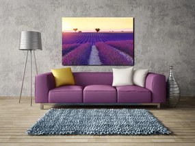 Malvis ® Obraz na stěnu Levandulové pole Velikost: 120x80 cm