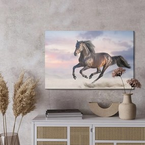 Obraz Kůň Ve Cvalu Nedostatek Nedostatek Plátno Canvas 30x20