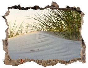 Wallmuralia Samolepící díra na stěnu Mořské duny 95x64 cm