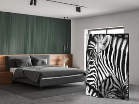 Liox Černobílý paraván zebry Rozměr: 135 x 180 cm