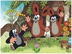 DINO Krtek a přátelé / Kubus dřevěné kostky / 12 dílků / od 3 let