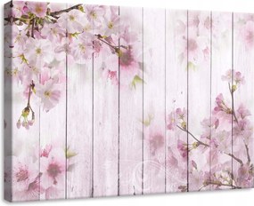 Obraz 70x50 Kvetoucí višeň sakura růžové bílé květy jaro jemnost