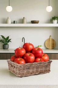 Košík na dekorace TACA, ratan, délka 47 cm, natur
