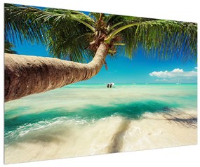 Obraz čistého moře s palmou (120x80 cm)