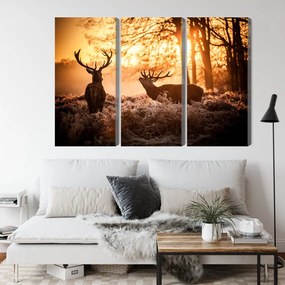 Vícedílný obraz Dva Jeleni V Lese Při Západu Slunce 3D Nedostatek Nedostatek Plátno Canvas 180x120