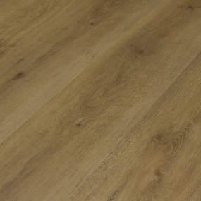 Contesse Click Elit Rigid Wide 23322 Natural Oak Plain