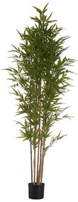 Dekorativní rostlina Bambus Zelená Plastické (80 x 180 x 80 cm)