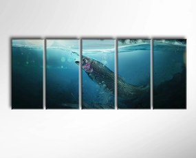 Malvis ® Obraz Pstruh pod vodou ROZMĚR (šířka x výška): pětidílný obdélník 150x60 cm