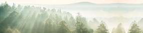 DIMEX | Fototapeta do kuchyně Sluneční paprsky nad lesem KI-260-196 | 260 x 60 cm | zelená, bílá, krémová