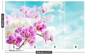 Fototapeta Orchideje Modrá 104x70