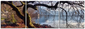 Obraz na plátně - Podzim u jezera - panoráma 5198C (150x50 cm)