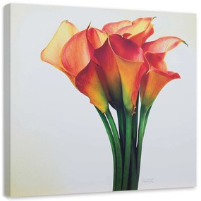 Gario Obraz na plátně Kytice červených květů Rozměry: 30 x 30 cm