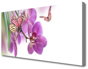 Obraz na plátně Motýli Květiny Příroda 100x50 cm