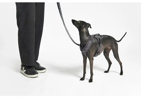 Béžový postroj velikost L délka 42 cm Modena Greige L – MiaCara