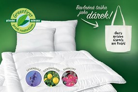 Ložnice21. Partnerský celoroční set Greenfirst s protiroztočovou úpravou Rozměr: 2x set: 70x90 cm zip+vak (1200 g) + 140x 200cm (300 g/m²) + taška zdarma