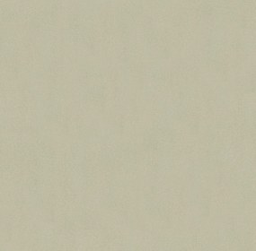 Lentex, PVC podlaha - lino Flexar PUR 603-05 béžová, na míru, šíře 2m,4m, béžová, bez podkladu, kancelář
