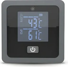 Nedis Teploměr na maso SmartLife šedá / Teploměr / Bluetooth / 2 sondy