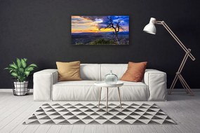 Obraz na plátně Strom Zápas Slunce 125x50 cm