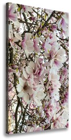 Wallmuralia Vertikální Foto obraz na plátně Květy magnolie 50x100
