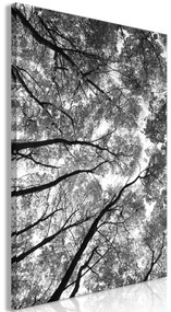 Obraz - High Trees (1 Part) Vertical