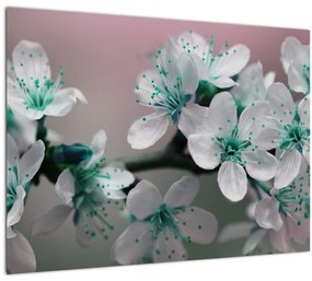 Skleněný obraz květu - tyrkysové (70x50 cm)
