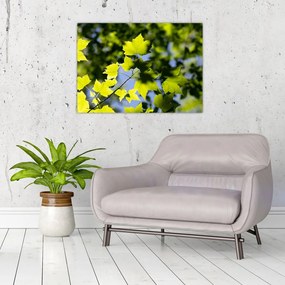 Skleněný obraz - javorové listy (70x50 cm)