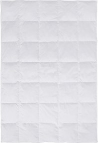XXXLutz CELOROČNÍ PŘIKRÝVKA, 135/200 cm, peří, prachové peří Boxxx - Přikrývky - 007992077501