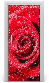 Fototapeta samolepící červená růže 75x205 cm