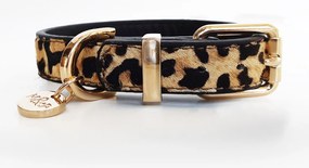 MILK&PEPPER Milkandpepper Obojek pro pro psy Leopard Velikost: 45x2 cm