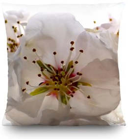 Dekorační polštář Flowers CN3606 | 45 x 45 cm