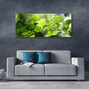 Plexisklo-obraz Větve Listy Příroda Strom 125x50 cm