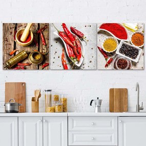Gario Sada obrazů na plátně Pálivé koření z chilli papriček - 3 dílná Rozměry: 90 x 30 cm