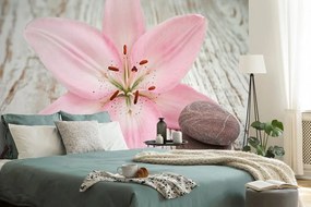 Fototapeta růžová lilie a Zen kameny - 225x150 cm