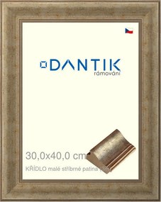 DANTIK rámeček 30x40 | KŘÍDLO malé stříbrné patina (Plexi Čiré)