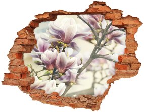 Wallmuralia Foto fotografie díra na zeď Magnolie 90x70 cm