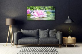 Plexisklo-obraz Vodní Lilie Rybník Příroda 100x50 cm