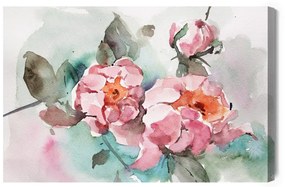 Obraz Pastelové Růže A Listy Malované Akvarelem Nedostatek Nedostatek Plátno Canvas 40x30