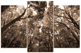 Obraz na plátně - Zelené stromy v lese 1194FC (135x90 cm)