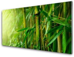 Obraz na skle Bambus Stonky Rostlina 125x50 cm