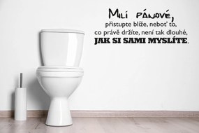 Samolepka na zeď WC - Milí pánové Barevná varianta: Černá, Velikost (šířka x výška): 45x17cm