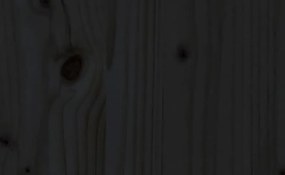 vidaXL Výsuvná postel 2x (90 x 190) cm masivní borovice [3124756] Barva: Černá