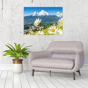 Skleněný obraz - Jaro v Alpách (70x50 cm)