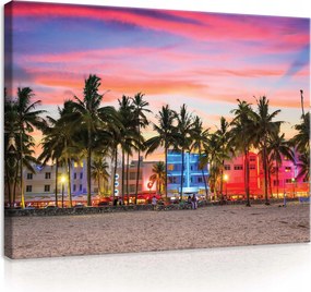Obraz 80x60 Západ slunce Miami Beach palmy oceán zářivý barevný