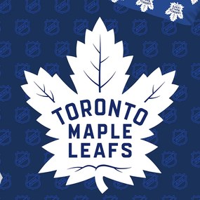 Hokejové povlečení NHL Toronto Maple Leafs Shields Velikost: 140x200 + 70x90 cm