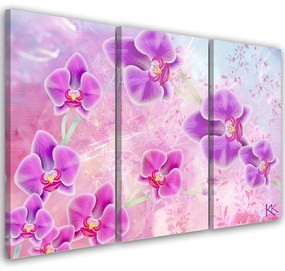 Obraz na plátně třídílný, Abstrakce orchidejí - 120x80 cm