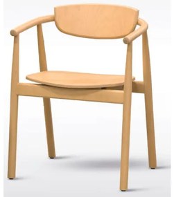 Stima Dřevěná židle GREEN Moření Stima Buk