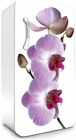Fototapeta na lednici Orchid 65 x 120 cm FR120-024